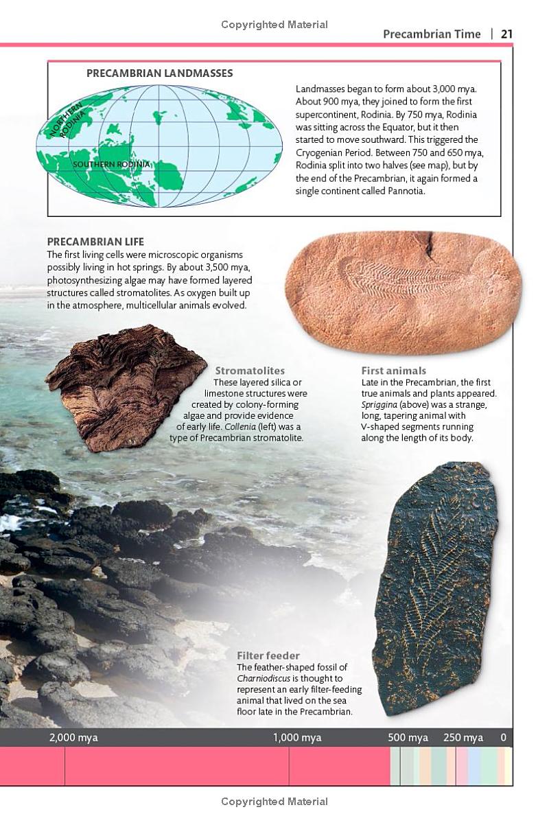 Dinosaurs And Other Prehistoric Life (DK Smithsonian Handbook) - FAHASA.COM