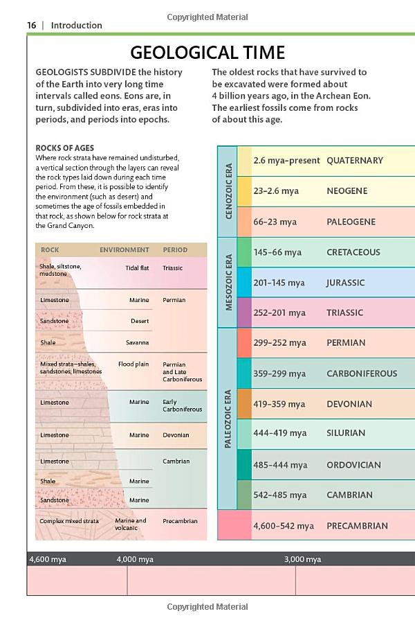 Dinosaurs And Other Prehistoric Life (DK Smithsonian Handbook) - FAHASA.COM