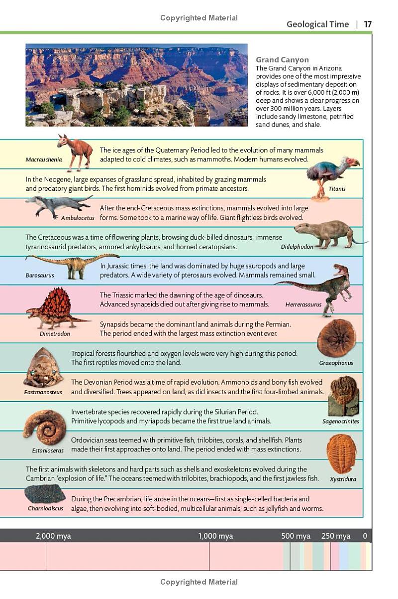 Dinosaurs And Other Prehistoric Life (DK Smithsonian Handbook) - FAHASA.COM