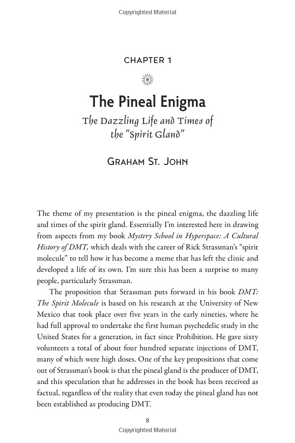 DMT Dialogues: Encounters With The Spirit Molecule