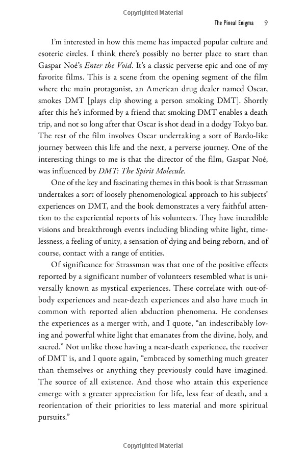 DMT Dialogues: Encounters With The Spirit Molecule