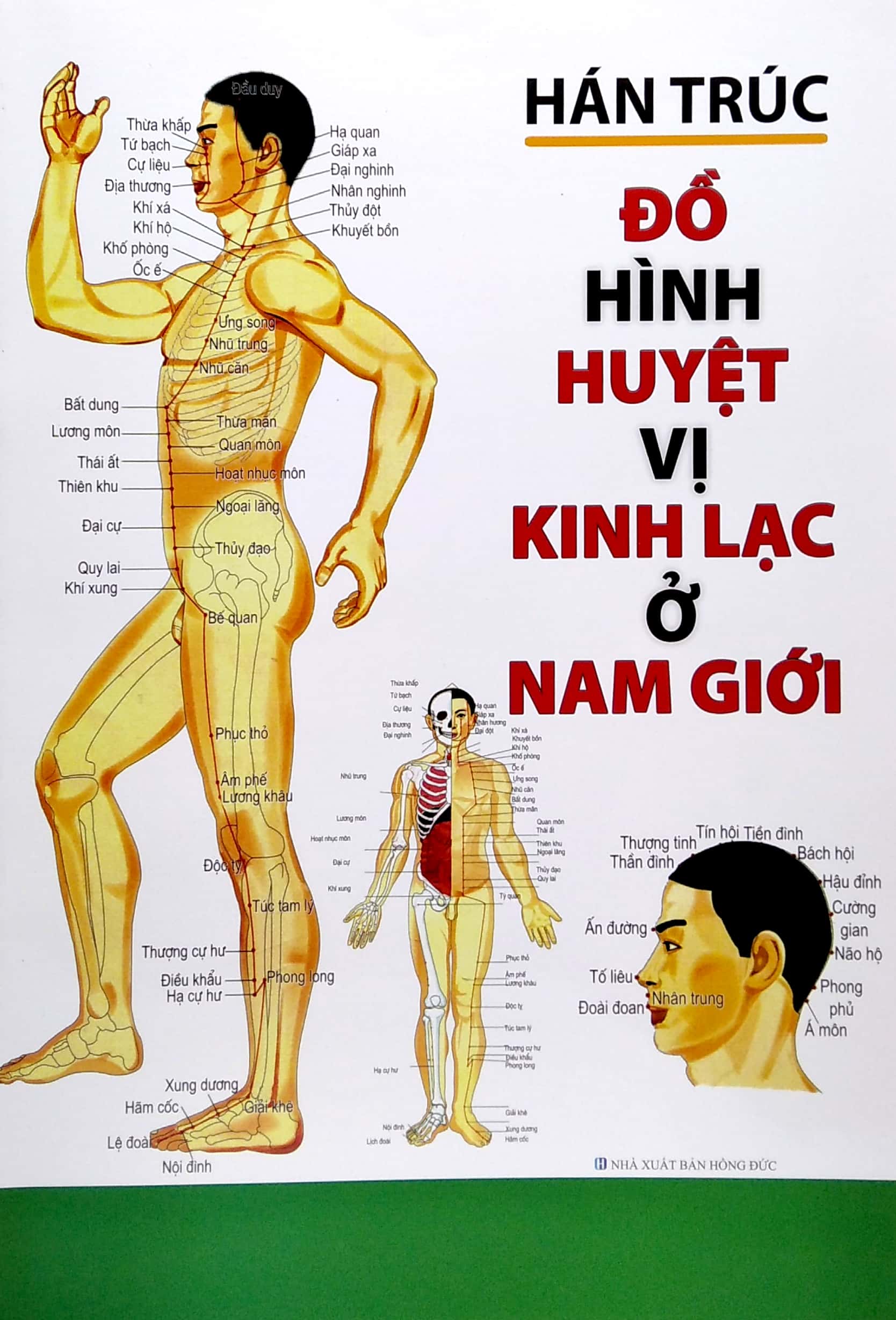 [Tải PDF] Đồ Hình Huyệt Vị Kinh Lạc Ở Nam Giới PDF - Thuvienso.org