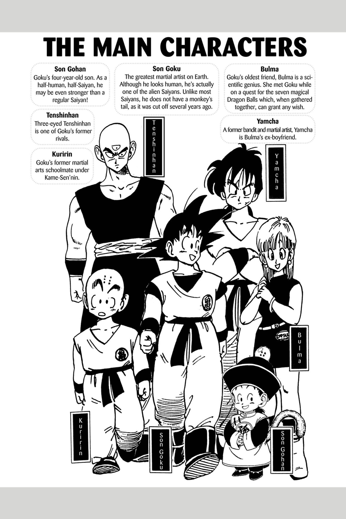 Dragon Ball Z (Vizbig Edition) Vol. 2 (English Edition) - FAHASA.COM