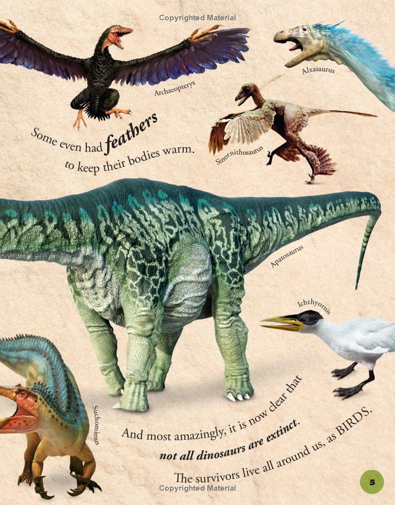 Everything You Need To Know About Dinosaurs