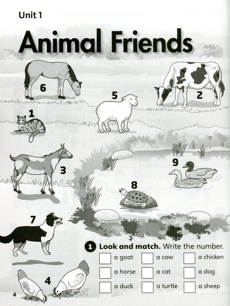 Explore Our World 2: Workbook With Audio CD - FAHASA.COM