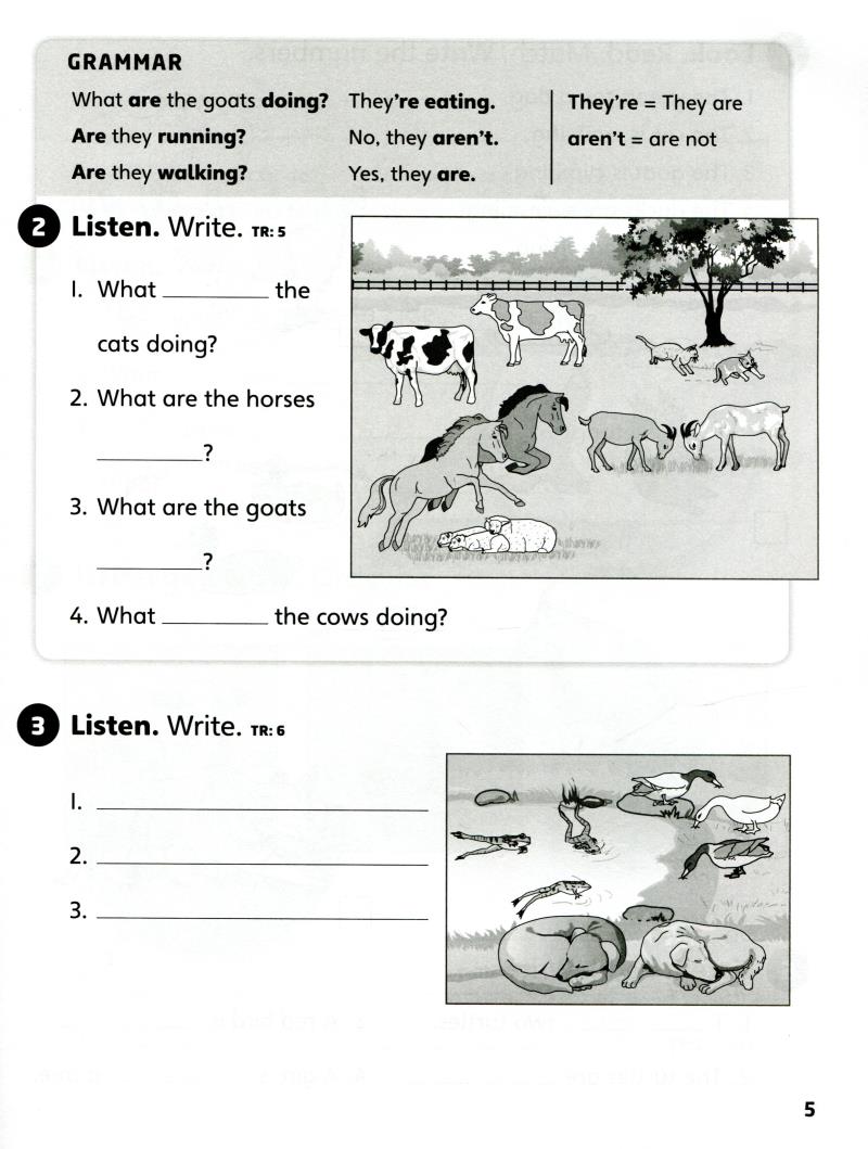 Explore Our World 2: Workbook With Audio CD - FAHASA.COM