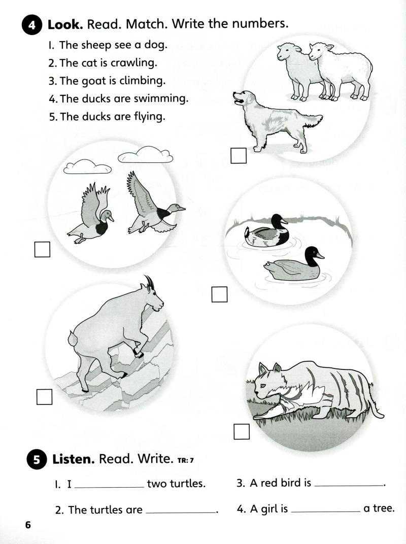 Explore Our World 2: Workbook With Audio CD - FAHASA.COM