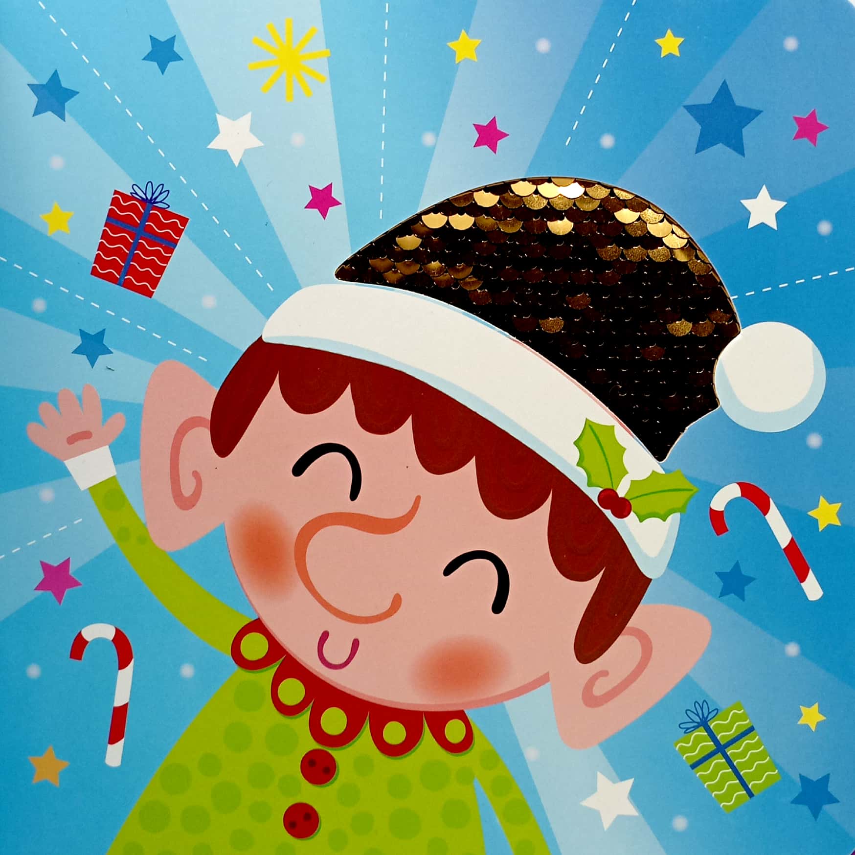 Festive Fun Sequin Book - FAHASA.COM