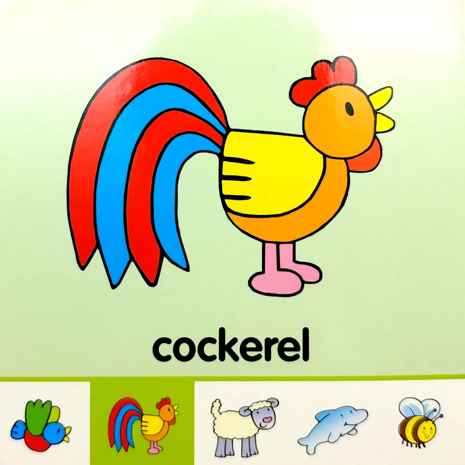 First Words Animal 4 - FAHASA.COM