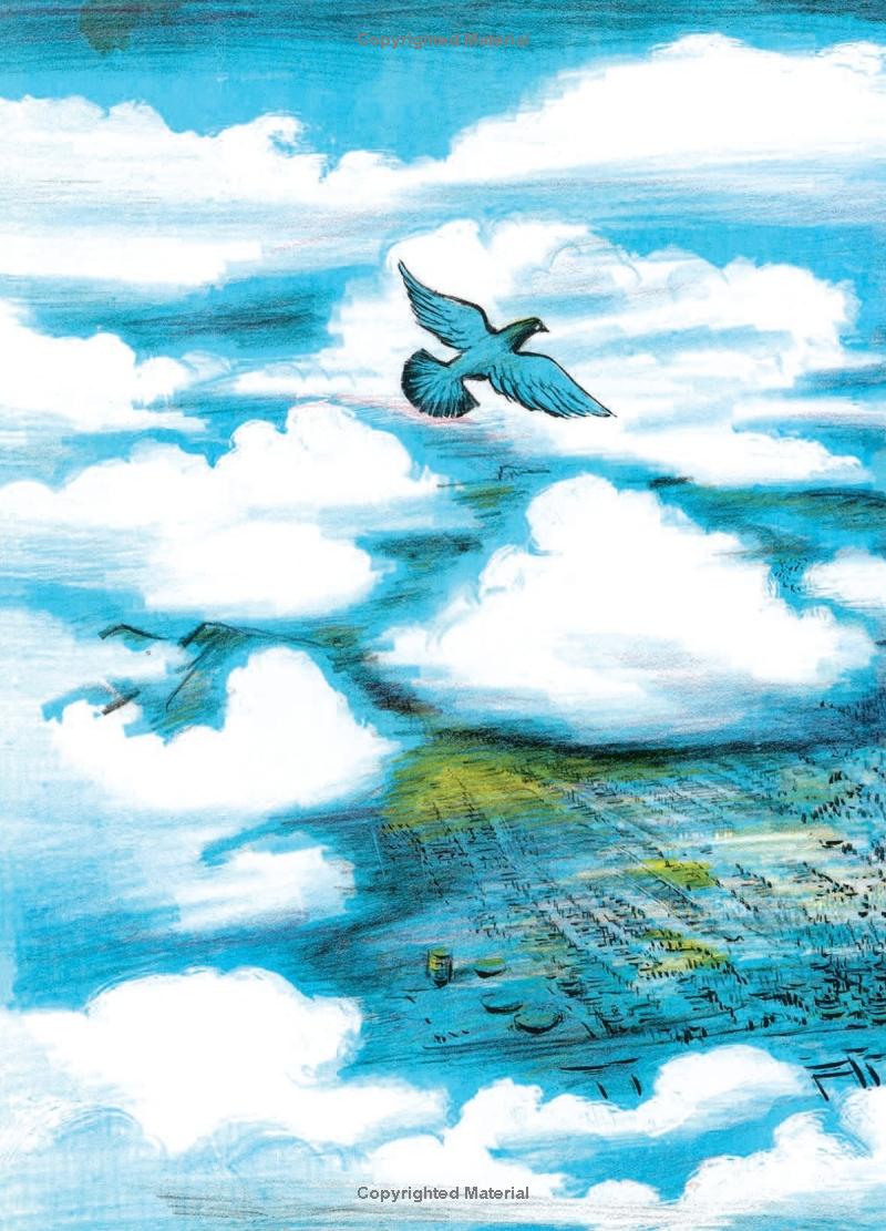 Fly High, Fly Low (50th Anniversary Edition)