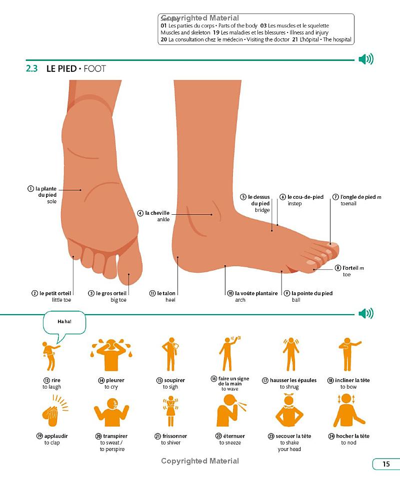 French English Illustrated Dictionary