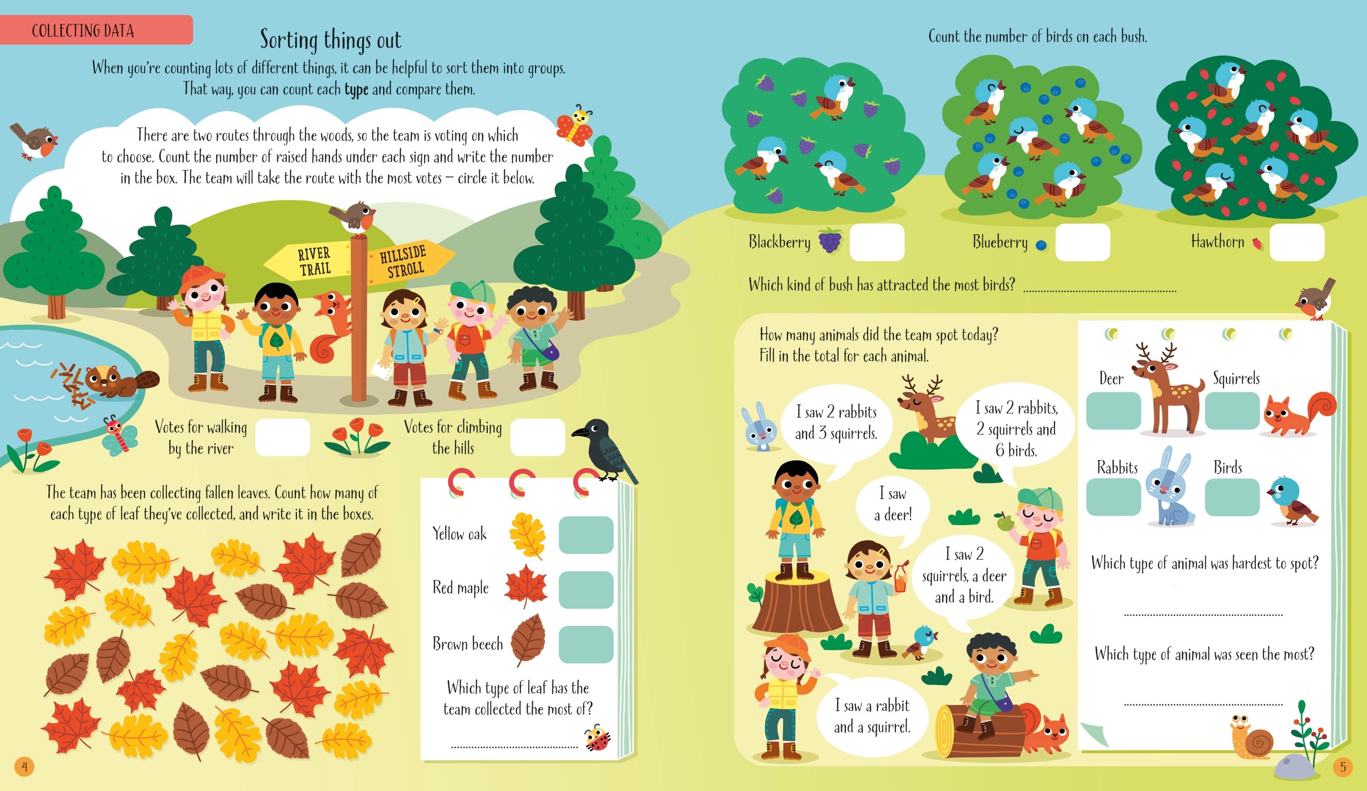 Graphs And Charts Activity Book