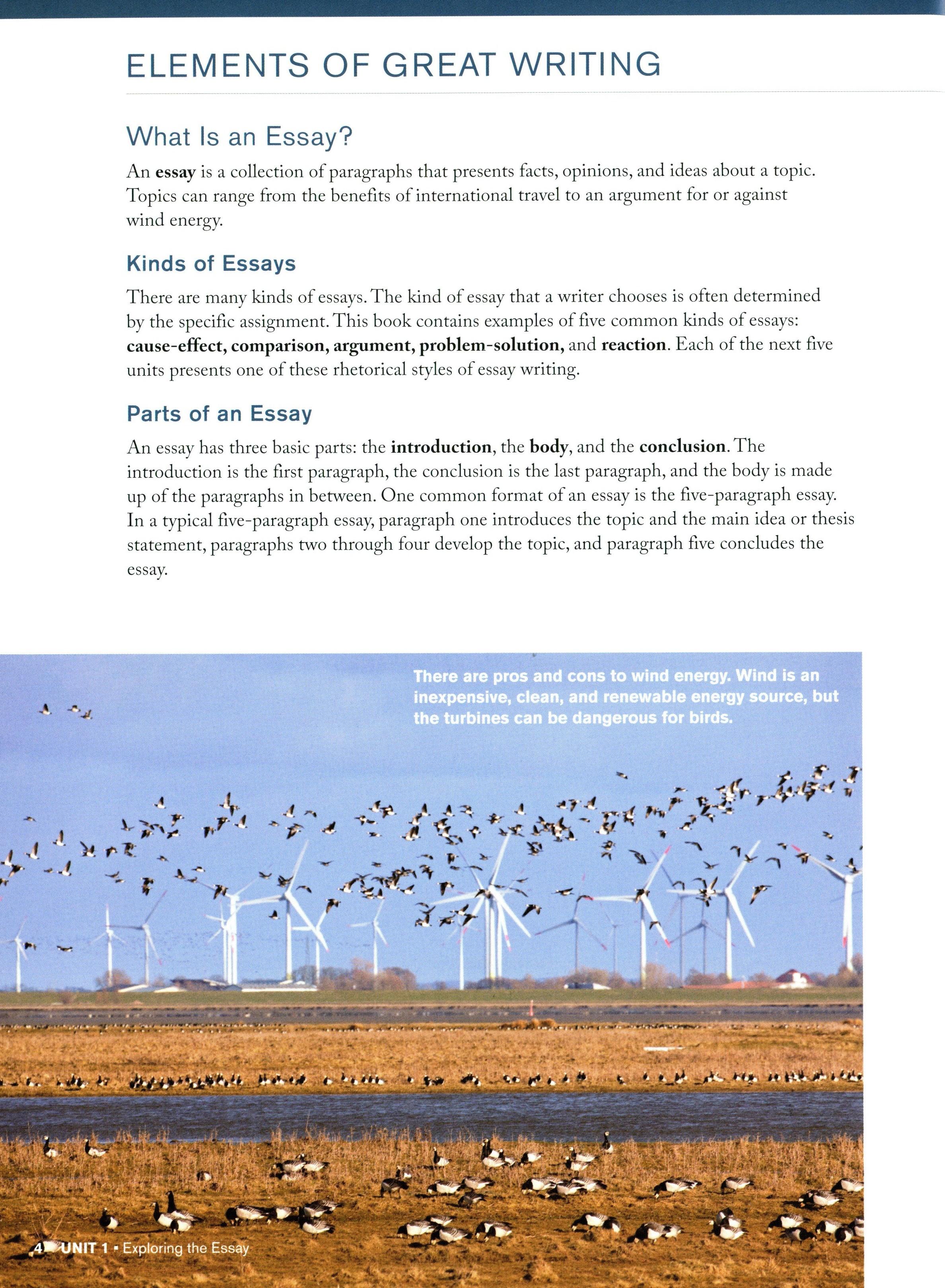 Great Writing 4: Student Book With Online Workbook - FAHASA.COM