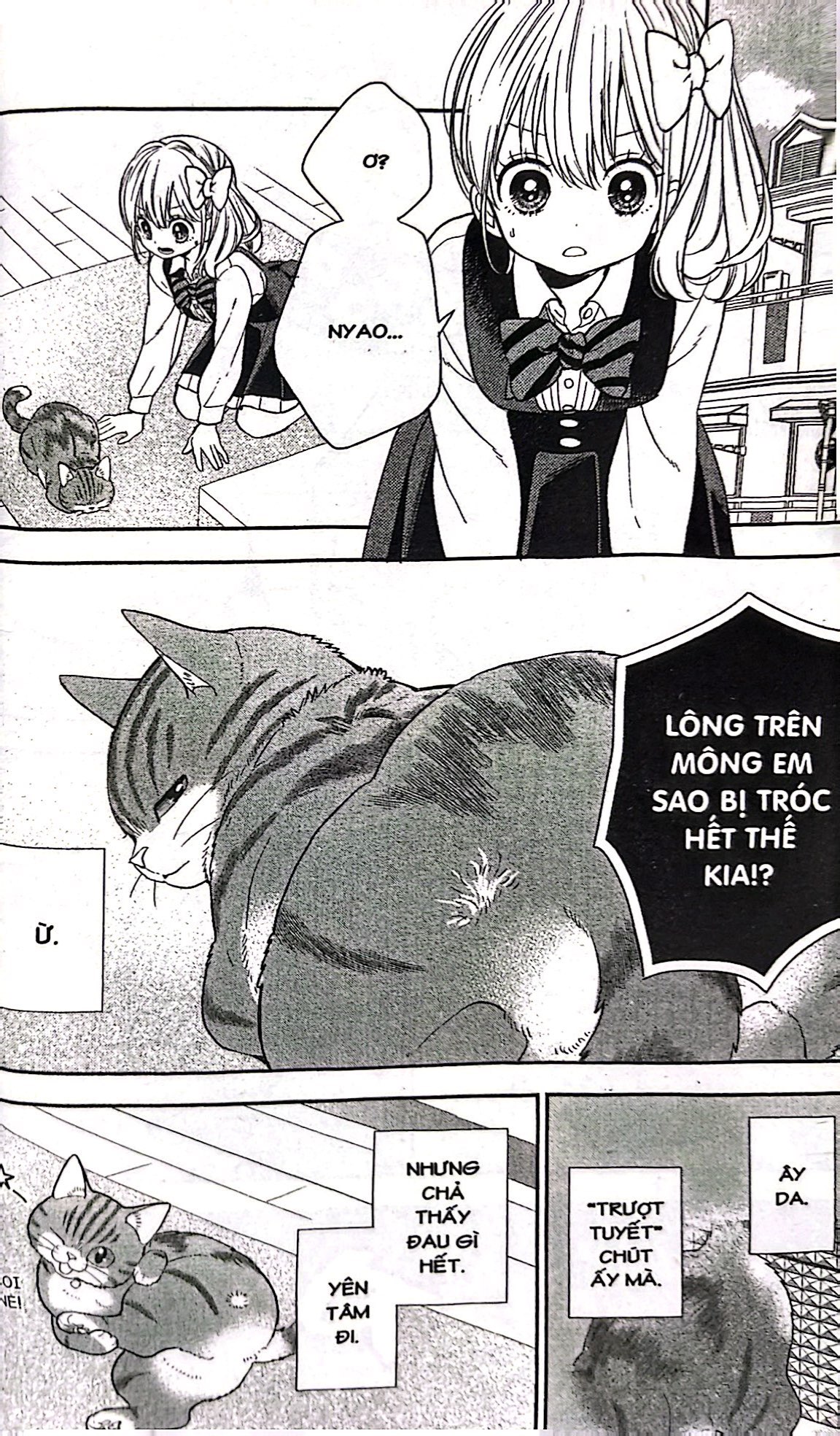 Truyện Tranh Hế Lô Nyao - Chuyện Về Chú Mèo Chuyên Hóng Hớt - Tập 10 ...