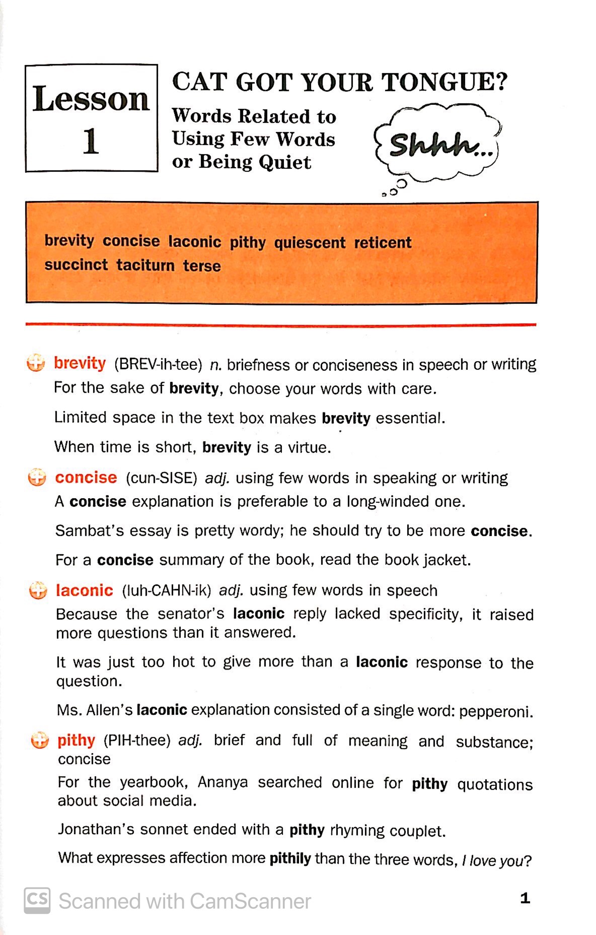 Hot Words For The SAT (Barron's Test Prep)