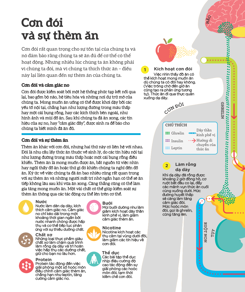How Food Works - Hiểu Hết Về Thức Ăn PDF - Tờ Khai Y Tế