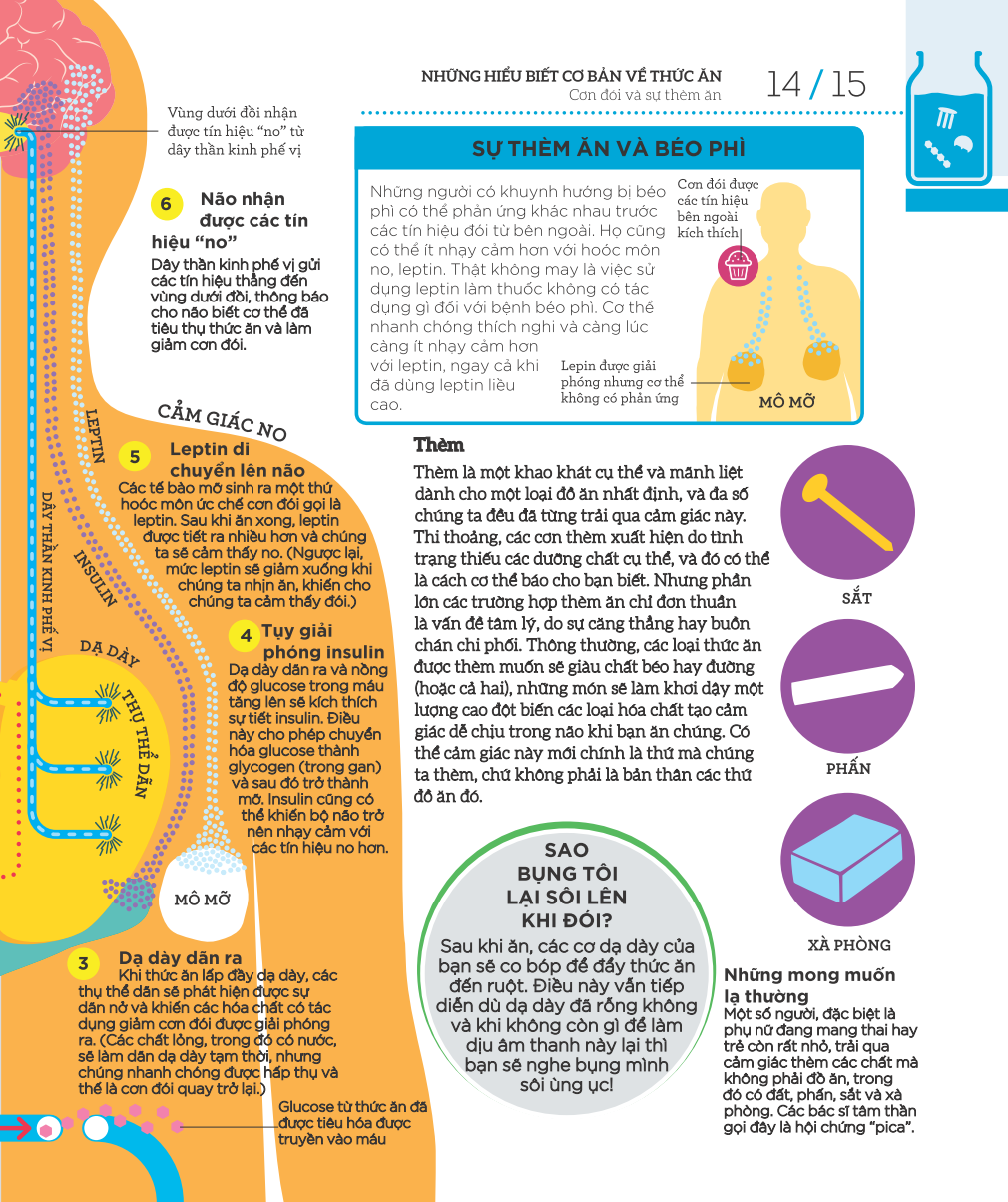 Sách How Food Works - Hiểu Hết Về Thức Ăn - FAHASA.COM