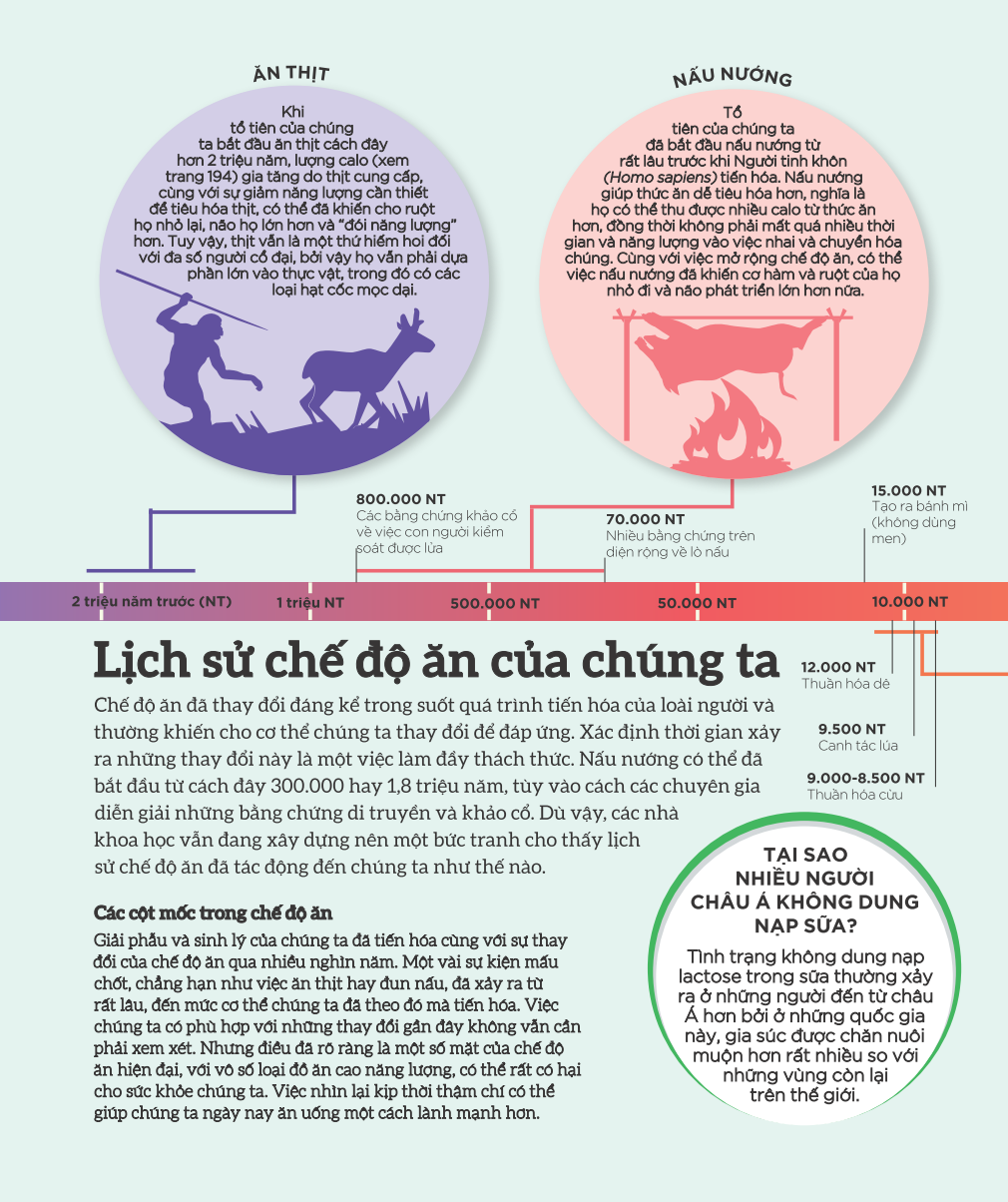 Sách How Food Works - Hiểu Hết Về Thức Ăn - FAHASA.COM