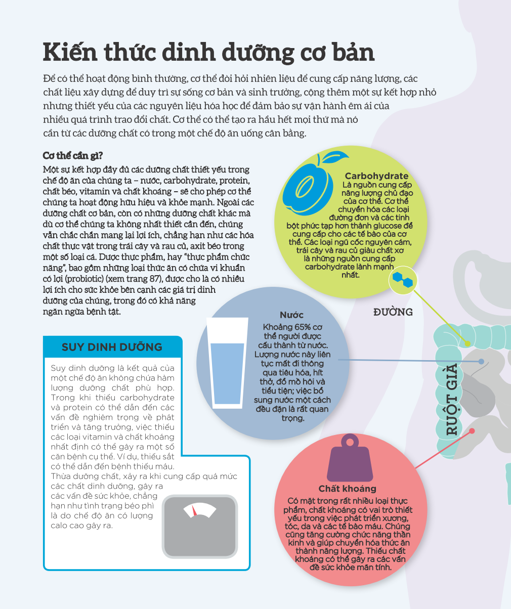 How Food Works - Hiểu Hết Về Thức Ăn PDF - YDS.EDU.VN