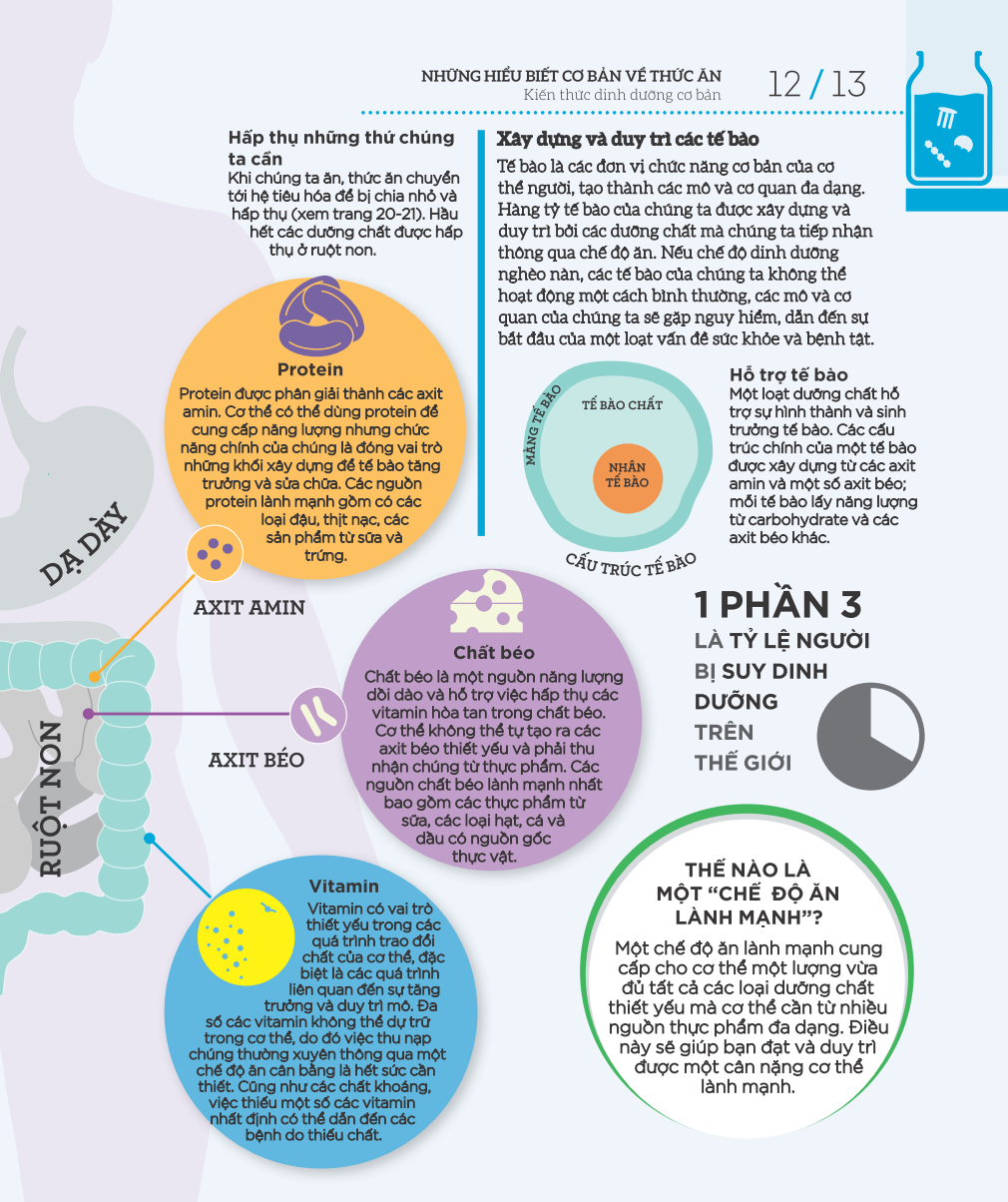Sách How Food Works - Hiểu Hết Về Thức Ăn - FAHASA.COM
