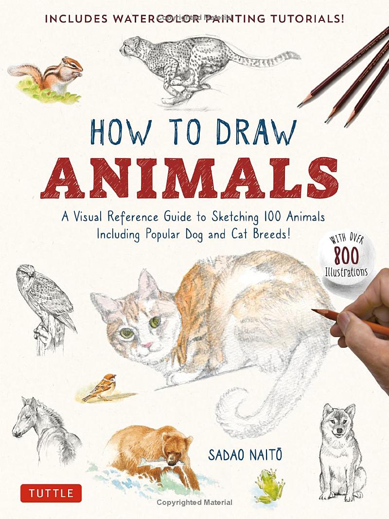 How To Draw Animals - A Visual Reference Guide To Sketching 100 Animals ...