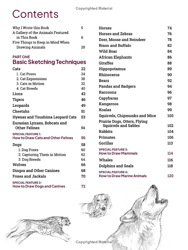 How To Draw Animals - A Visual Reference Guide To Sketching 100 Animals ...