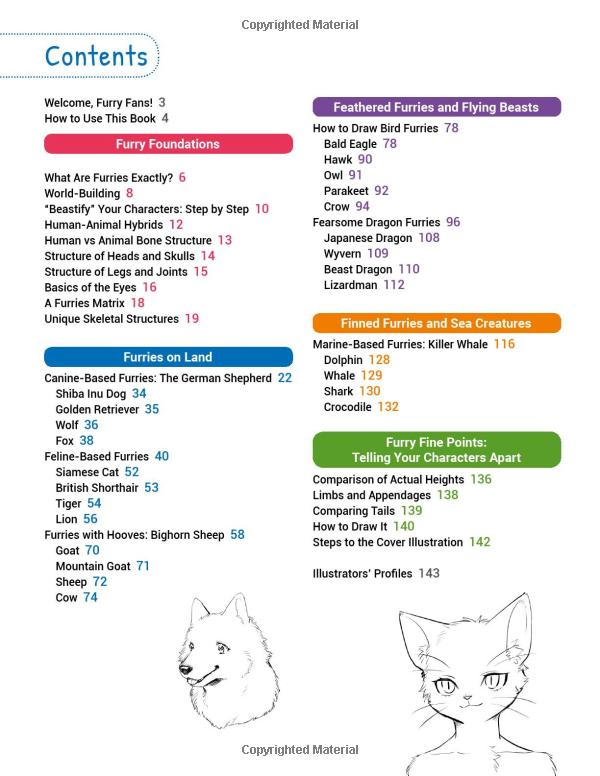 How To Draw Manga Furries: The Complete Guide To Anthropomorphic ...