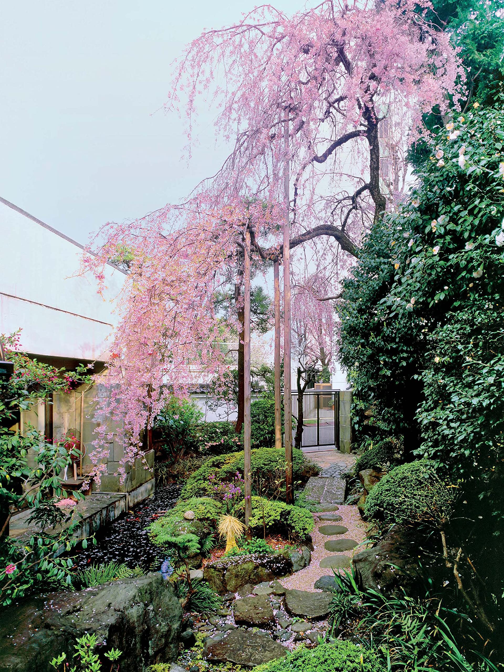 Inside Your Japanese Garden: A Guide To Creating A Unique Japanese ...