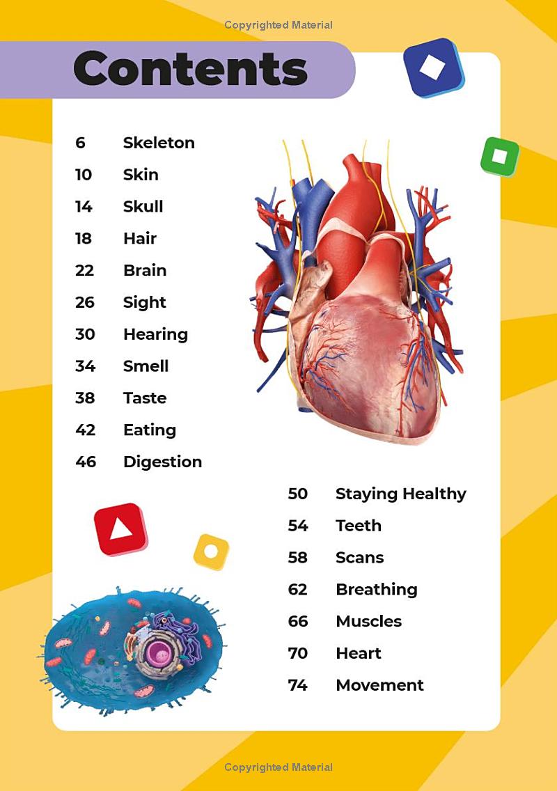 Kahoot! Quiz Time Human Body
