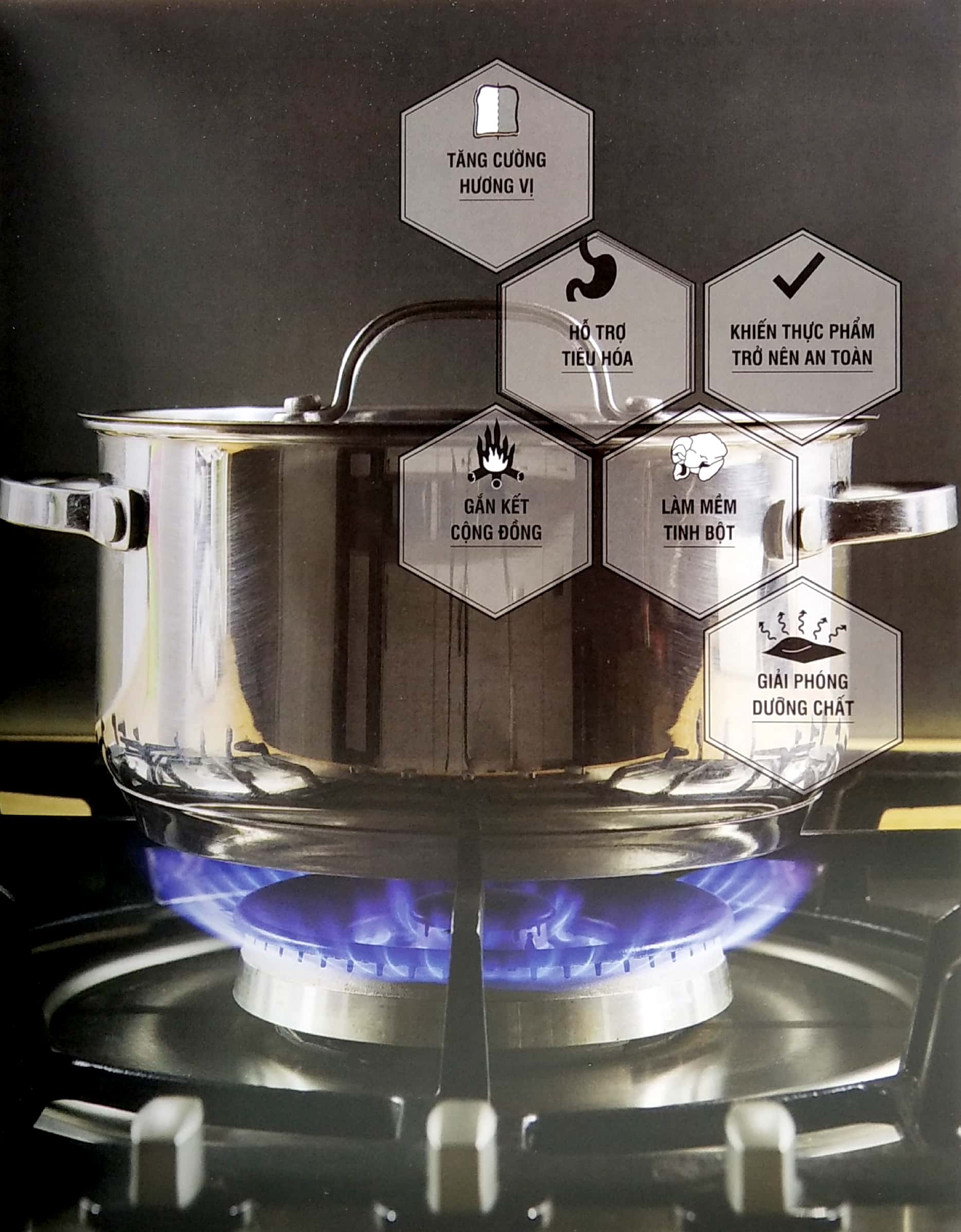 Khoa Học Về Nấu Ăn - The Science Of Cooking PDF - YDS.EDU.VN