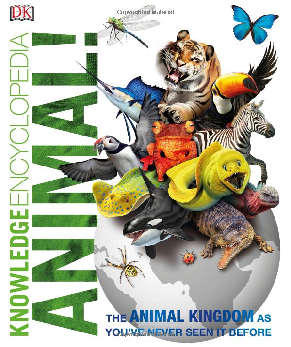 Knowledge Encyclopedia Animal