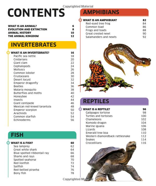 Knowledge Encyclopedia Animal - FAHASA.COM