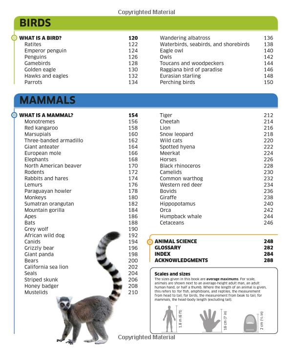 Knowledge Encyclopedia Animal - FAHASA.COM