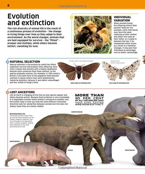 Knowledge Encyclopedia Animal - FAHASA.COM