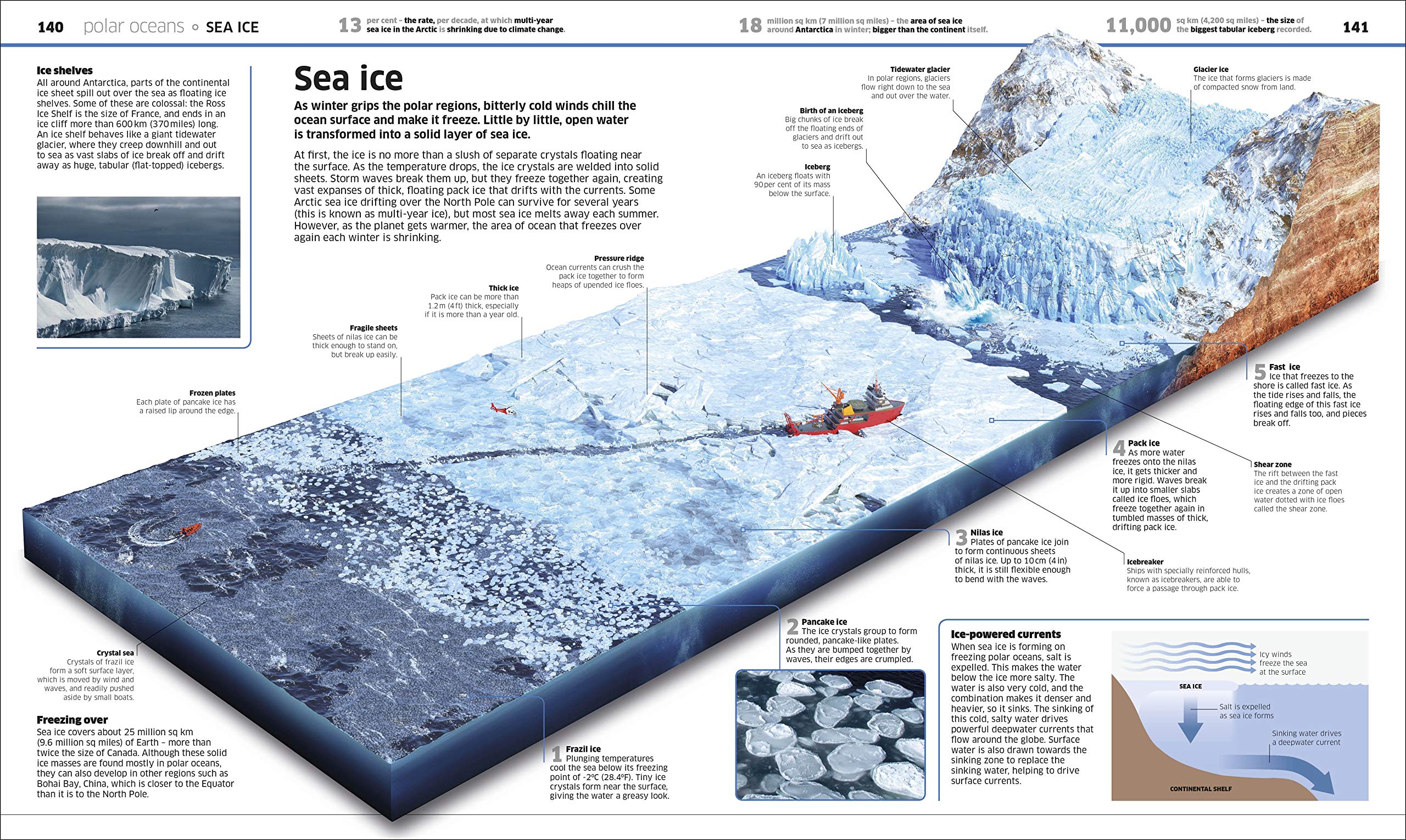 Knowledge Encyclopedia Ocean!: Our Watery World As You've Never Seen It ...