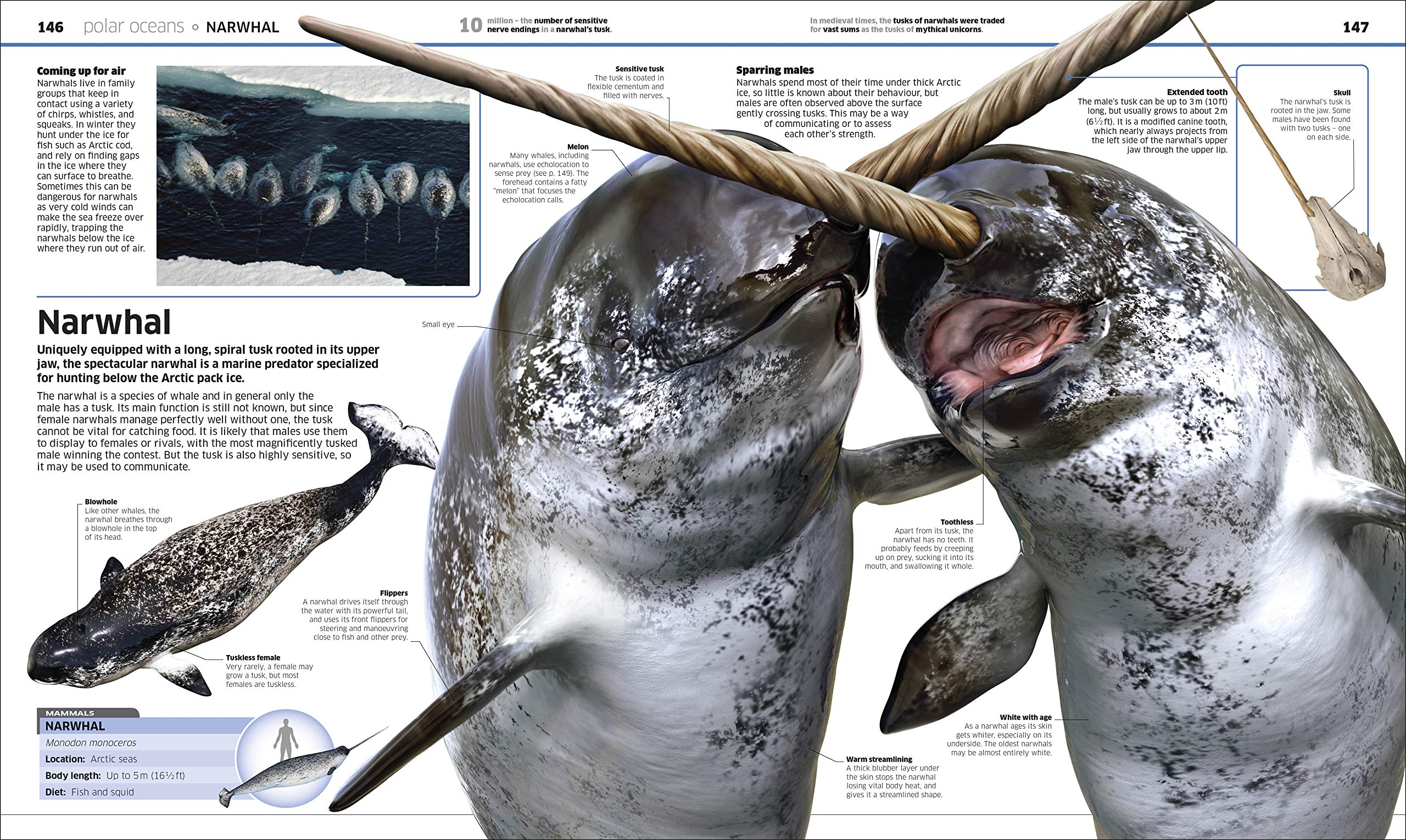 Knowledge Encyclopedia Ocean!: Our Watery World As You've Never Seen It ...