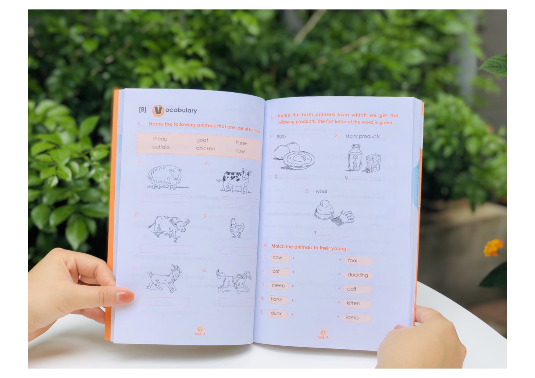 Bộ Learning English 1 - Wordbook PDF - YDS.EDU.VN