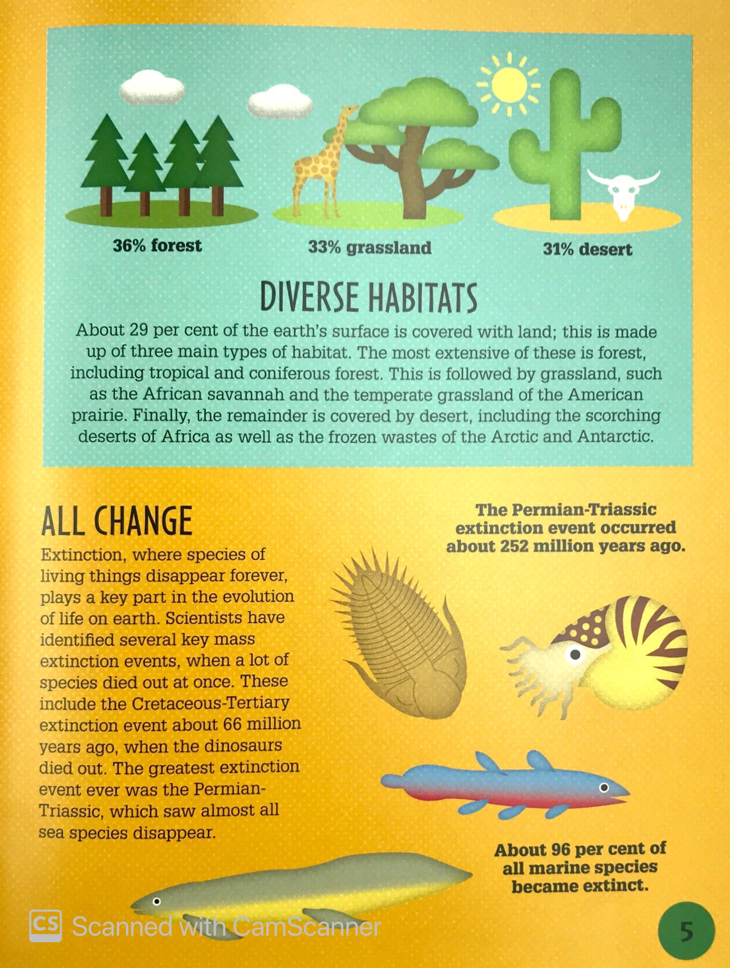 Life on Earth (Infographic: How It Works) - FAHASA.COM