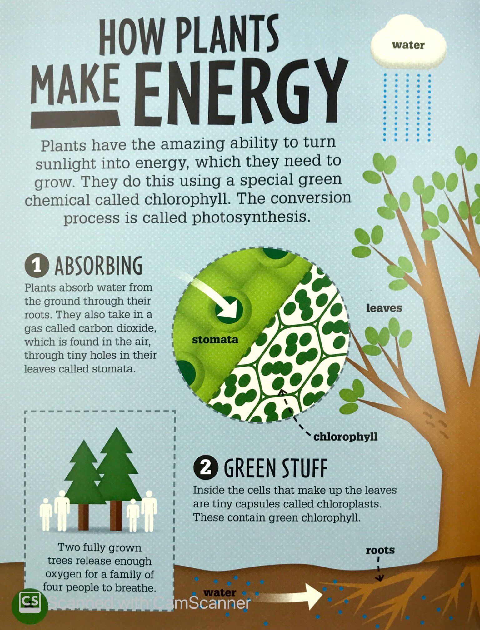 Life on Earth (Infographic: How It Works) - FAHASA.COM