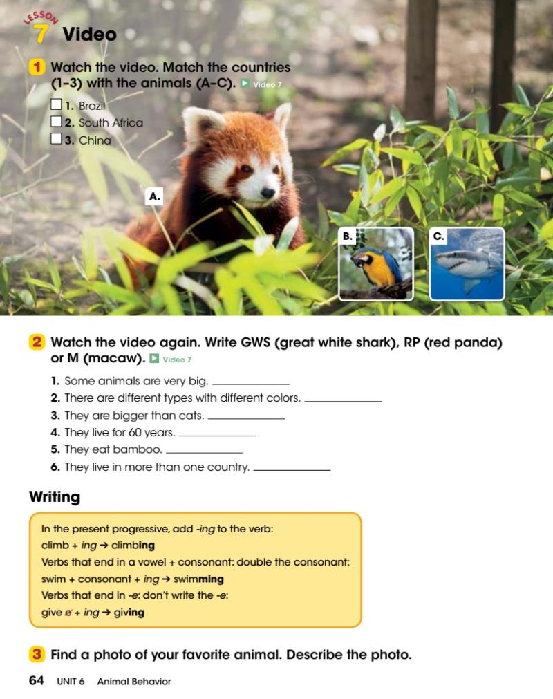 Look 3 Student's Book (Look (American English)) - FAHASA.COM