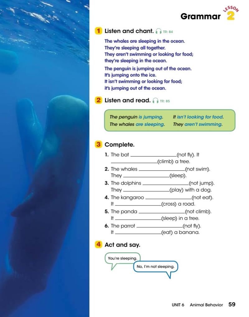 Look 3 Student's Book (Look (American English)) - FAHASA.COM