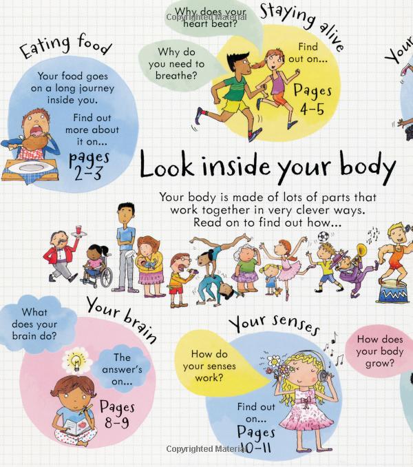 Look Inside: Your Body - FAHASA.COM