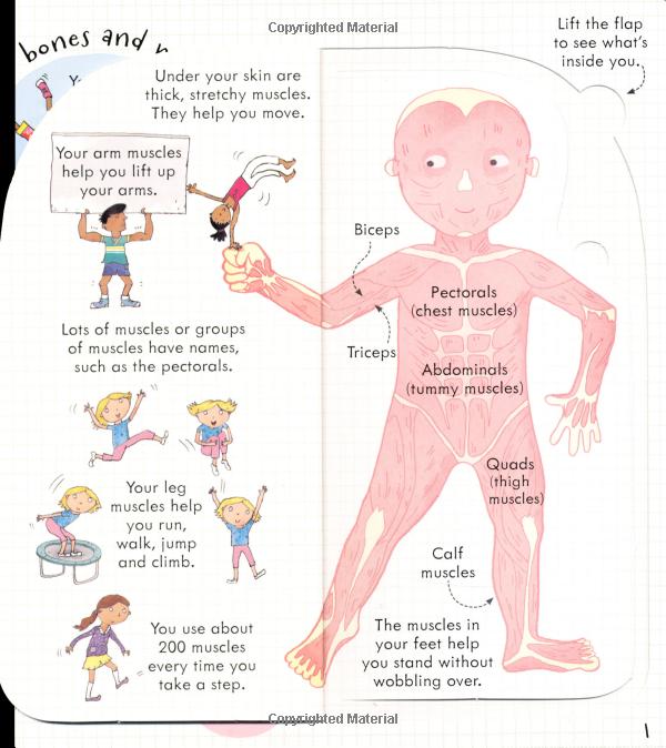 Look Inside: Your Body - FAHASA.COM