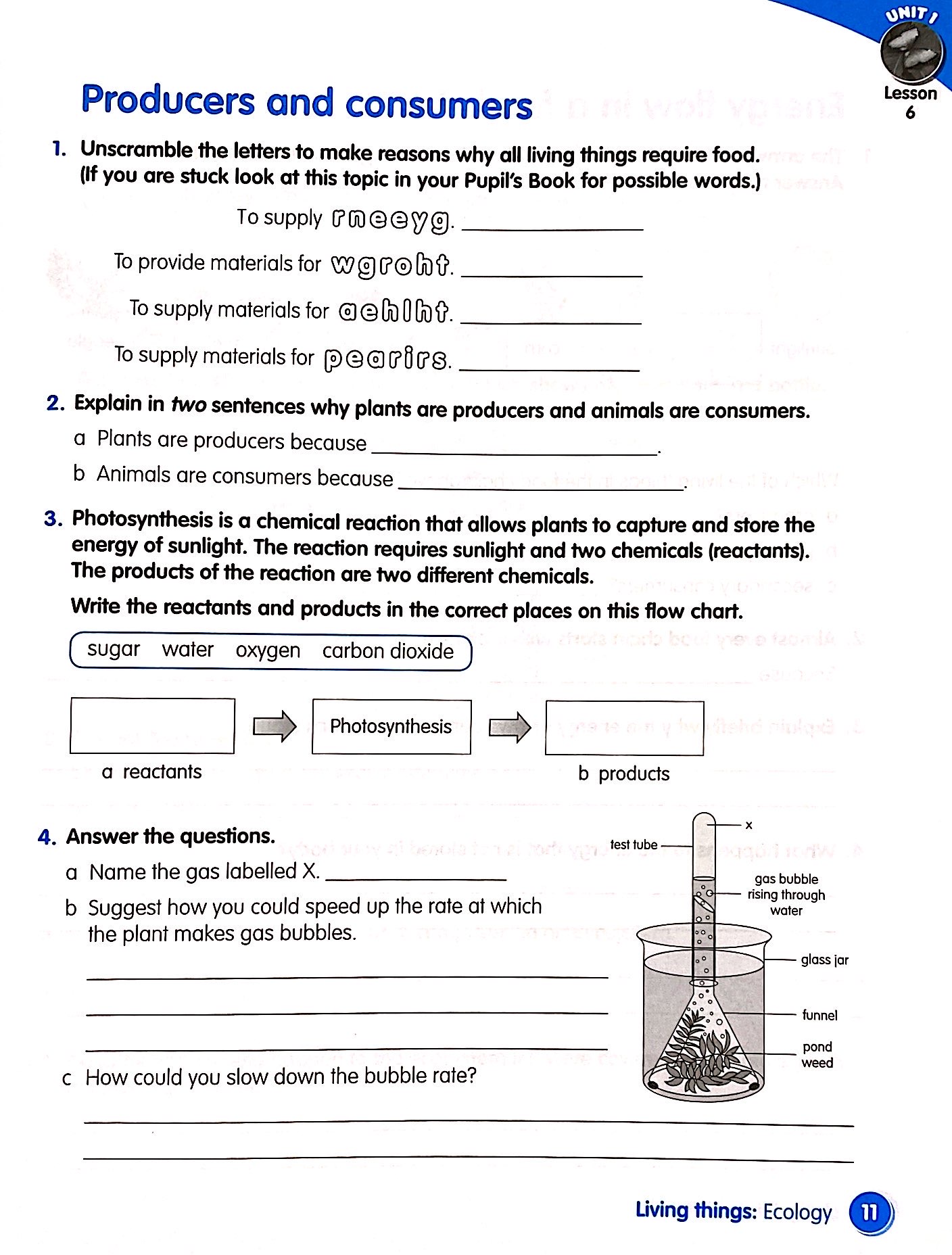 Macmillan Science 5: Workbook - FAHASA.COM