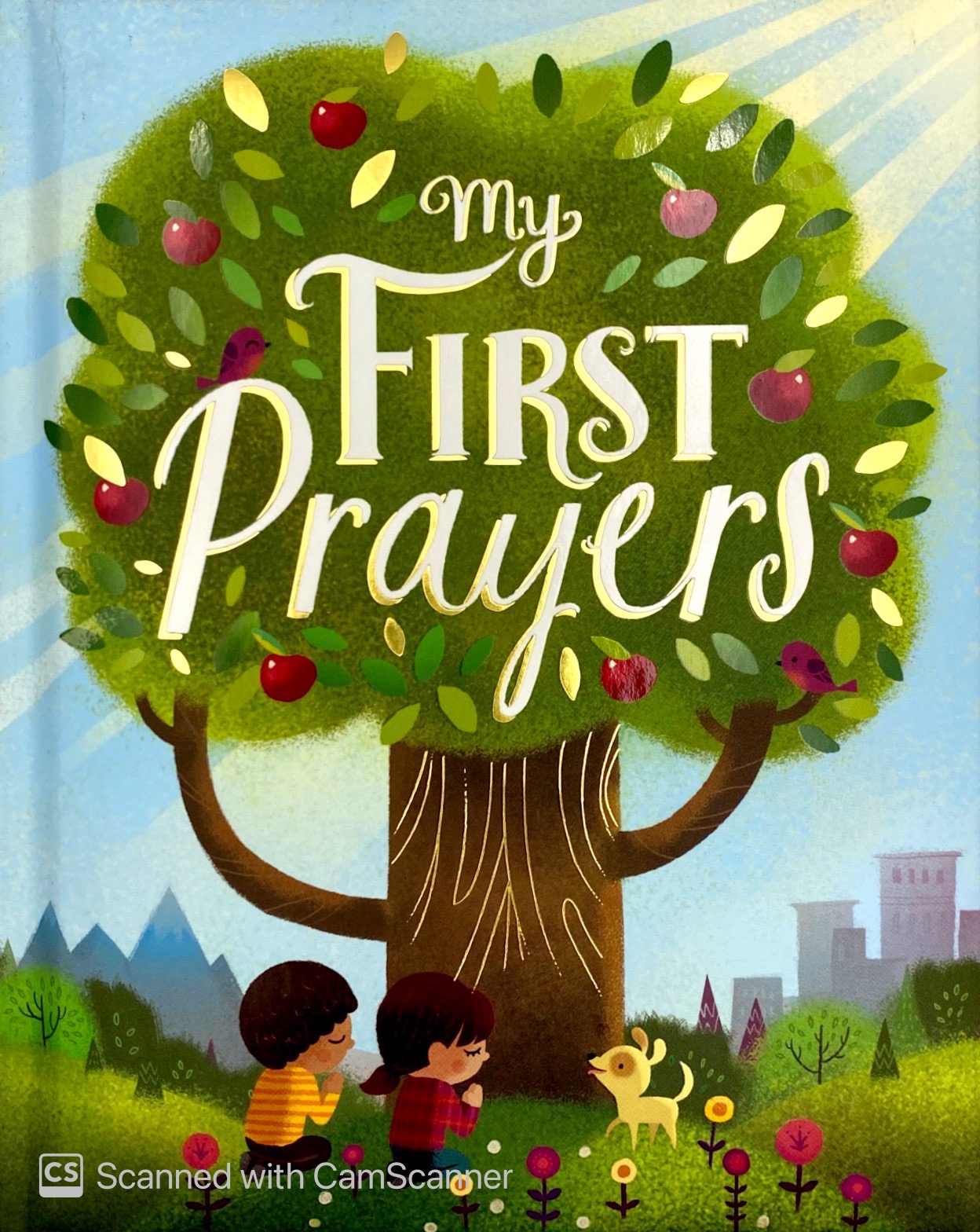 My First Bible Prayers