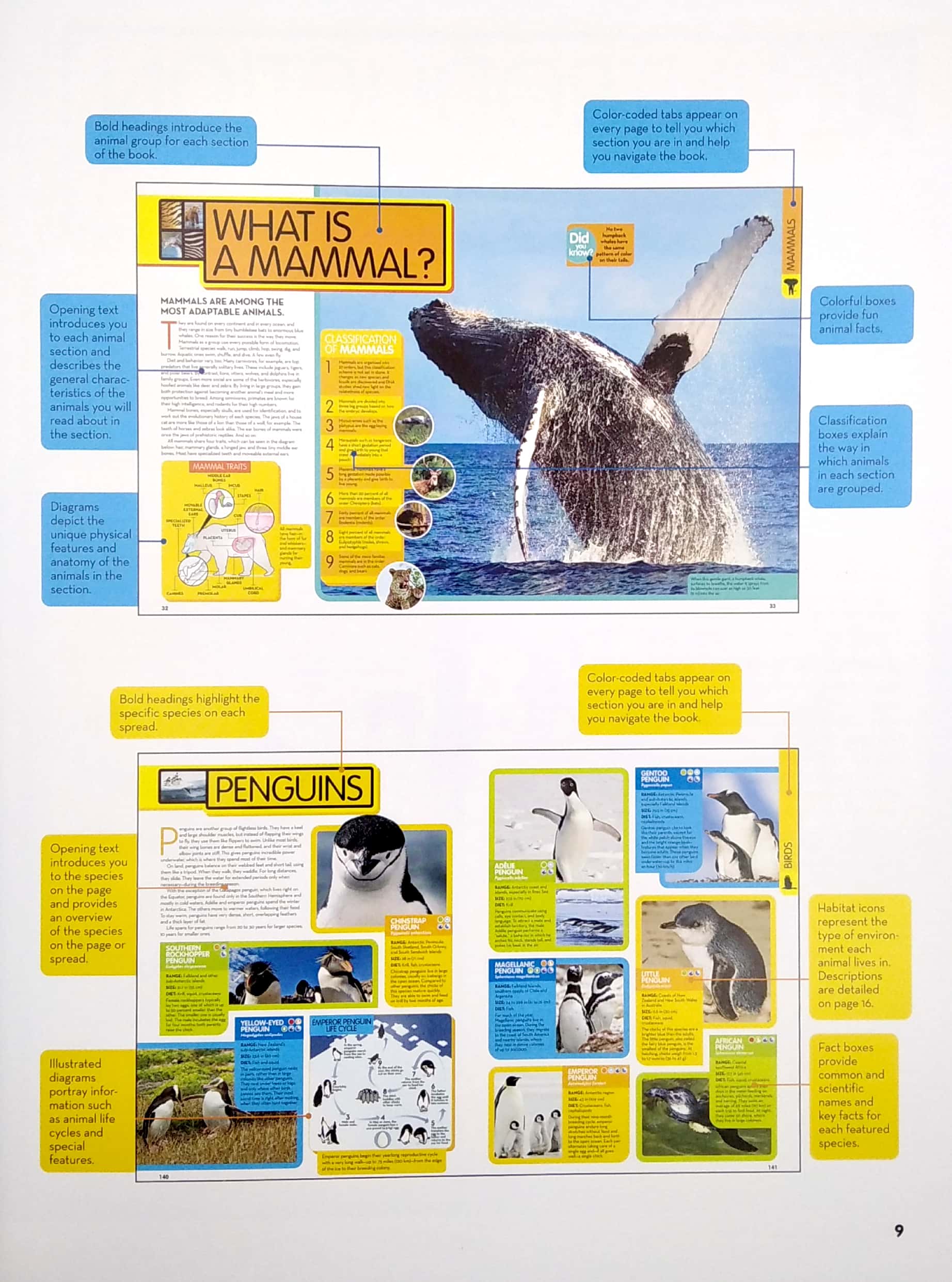 National Geographic Animal Encyclopedia 2nd edition: 2,500 Animals With ...