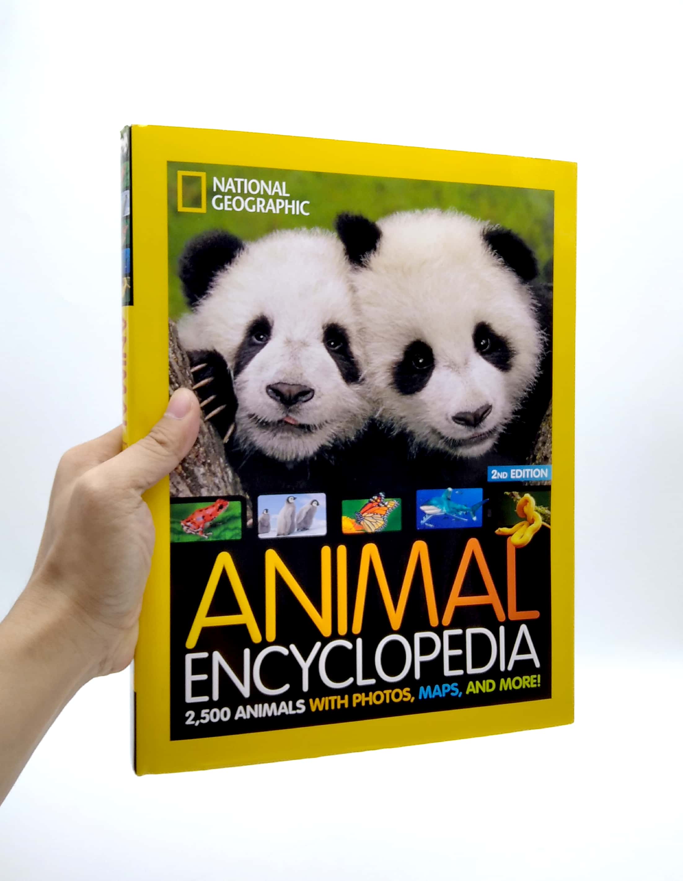 National Geographic Animal Encyclopedia 2nd edition: 2,500 Animals With ...