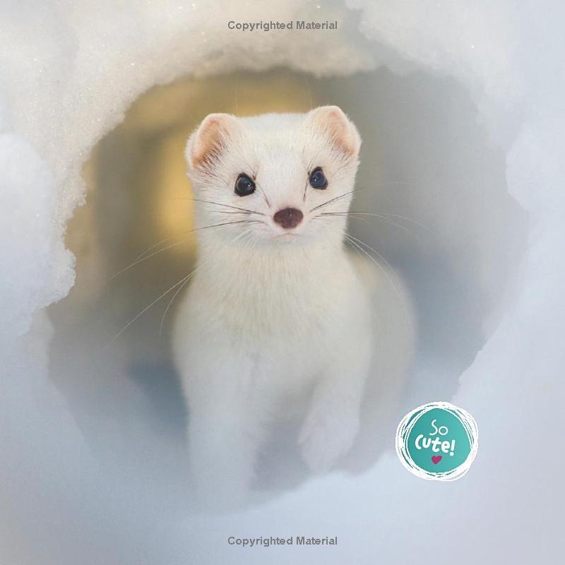 National Geographic Kids - Deadliest Animals On The Planet