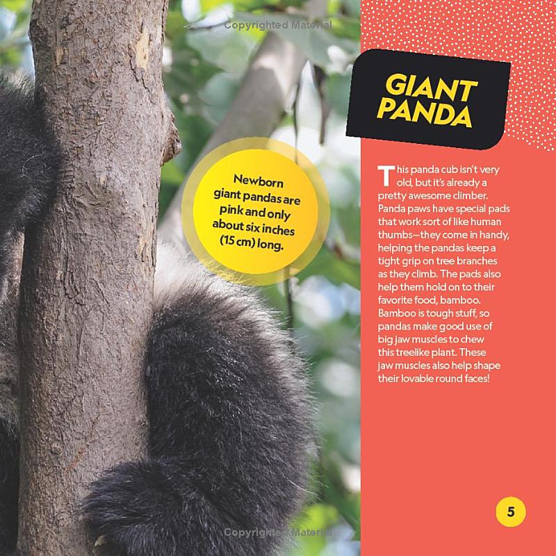 National Geographic Kids - Deadliest Animals On The Planet - FAHASA.COM