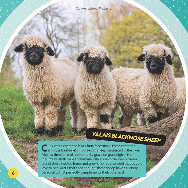 National Geographic Kids - Deadliest Animals On The Planet - FAHASA.COM